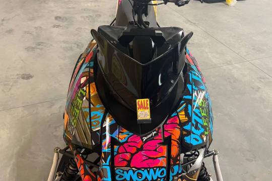 2019 Arctic Cat Alpha M6000 154” track 3” paddle 1